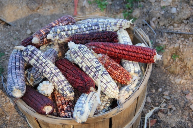 The beauty of the land in photos and short videos – Running Water’s ...